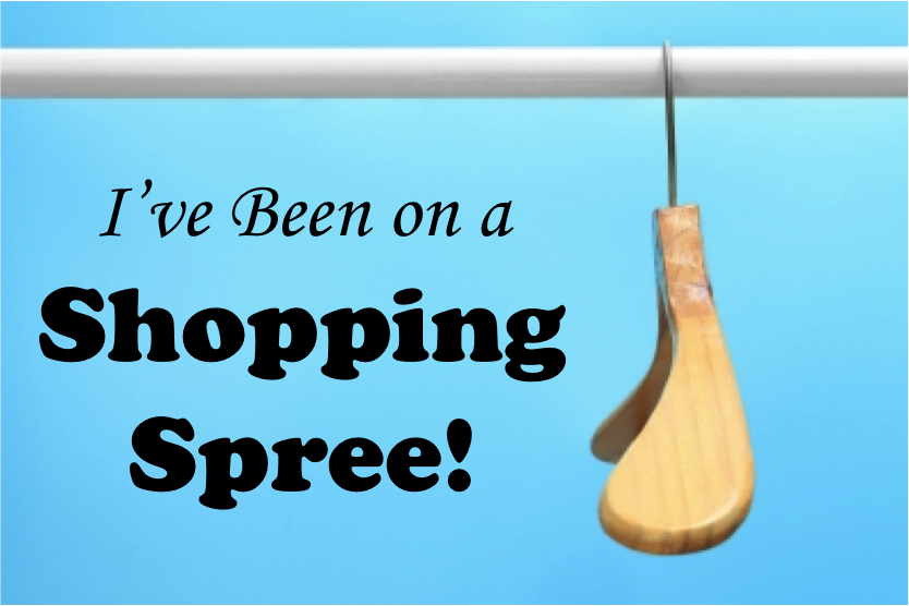 My Unfrugal Shopping Spree - Evolving Personal Finance | Evolving ...